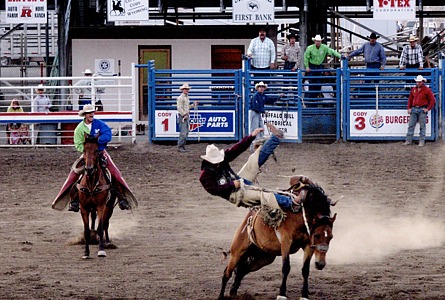 Rough Rider Rodeo at Civic Center Oct 27-29 | CSi News Now!