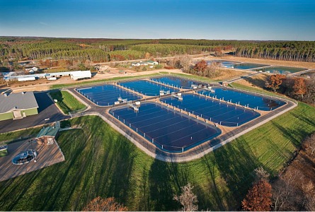 Fish Hatchery has good year | CSi News Now!